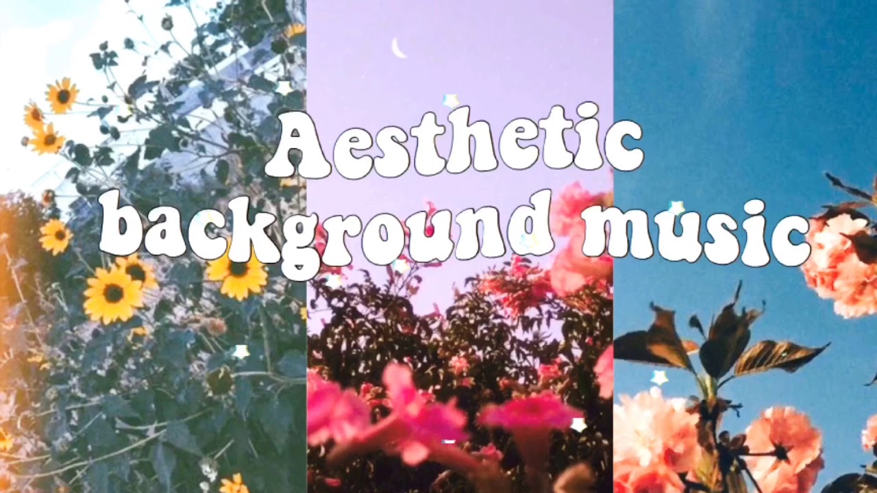 aesthetic music copyright free☁ - YouTube