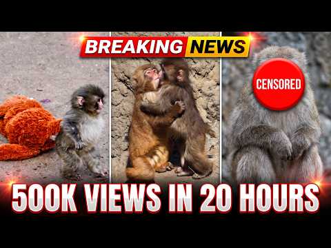 “You’re Doing Well, Punch!” – Official Growth Video Reaction (Keeper’s Eyes)