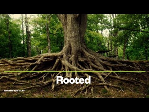Sunday Morning (09/24/23) Rooted in Prayer and Study, Week 3 - YouTube