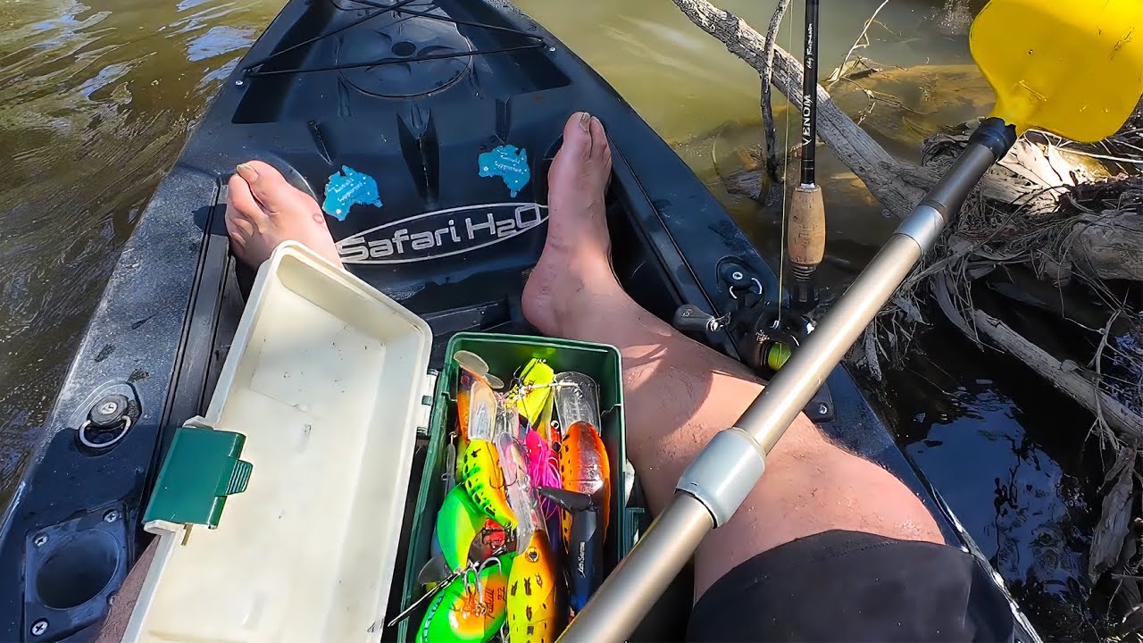 Kayak Fishing For Murray Cod, Flicking Crankbaits And Surface Lures ...