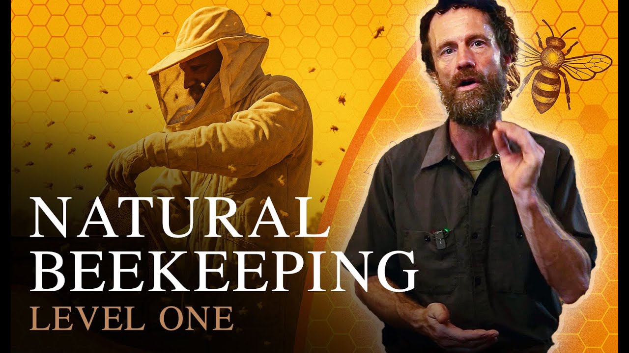 *ANNOUNCING* Natural Beekeeping Course: Level One Training for Beginner and Intermediate ...