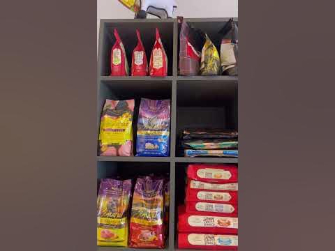 Come to PET FOODIE LA with Thumzup | #shorts - YouTube