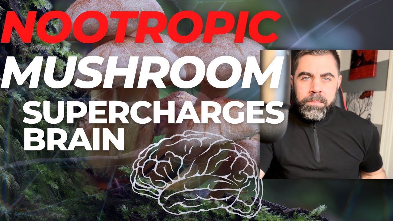 The Best MUSHROOM Nootropic for ENERGY - YouTube