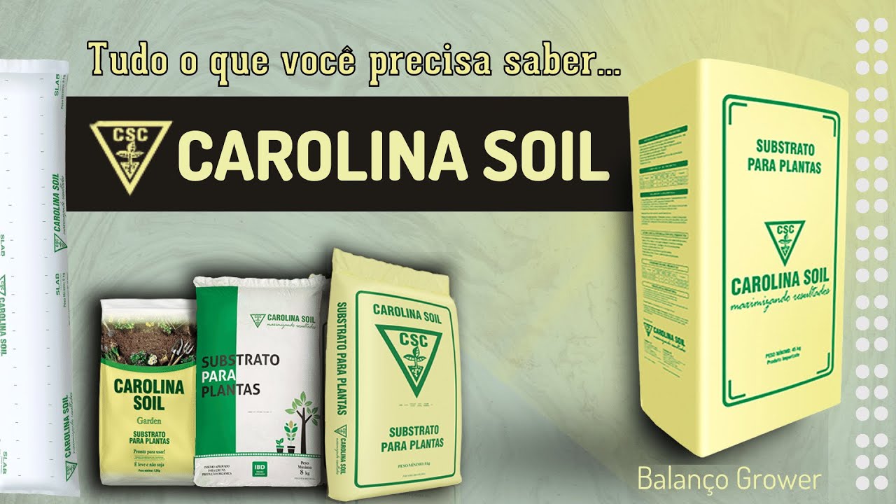 Aprenda a escolher o Substrato Carolina Soil ideal para o seu Cultivo ...