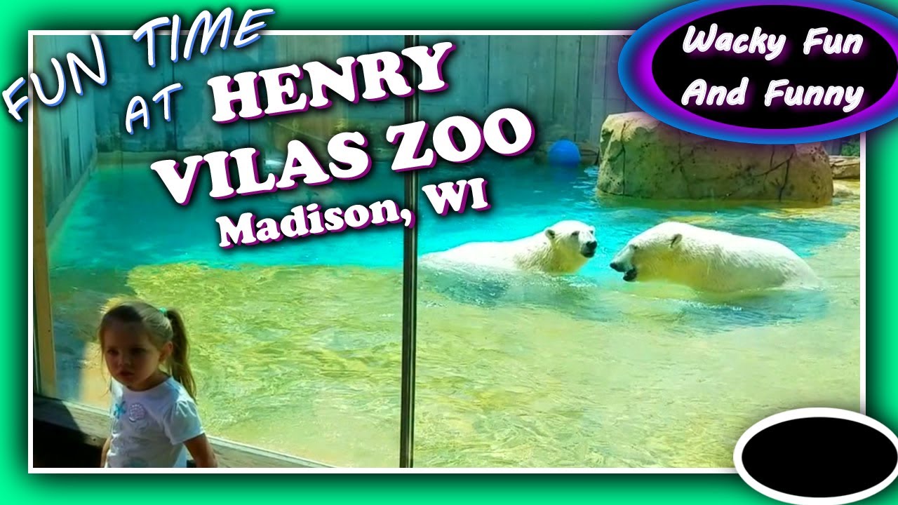 Fun Time At Henry Vilas Zoo : Madison, Wisconsin Viewing Animals, Kid ...