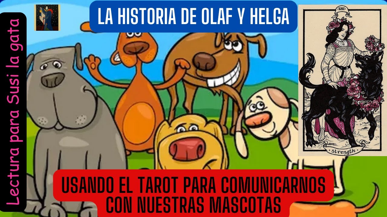 USANDO EL TAROT PARA COMUNICARNOS CON NUESTRAS MASCOTAS- LA HISTORIA DE ...