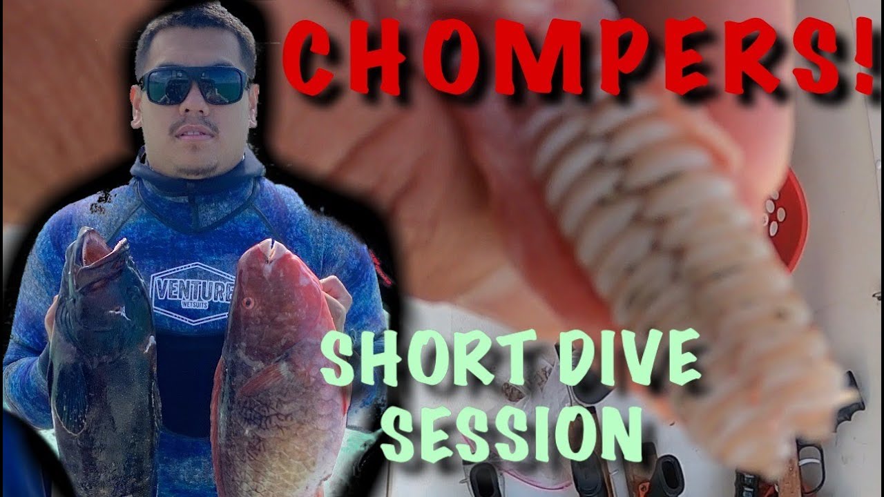Short Dive Session + Fish Chompers - Hawaii Spearfishing - YouTube