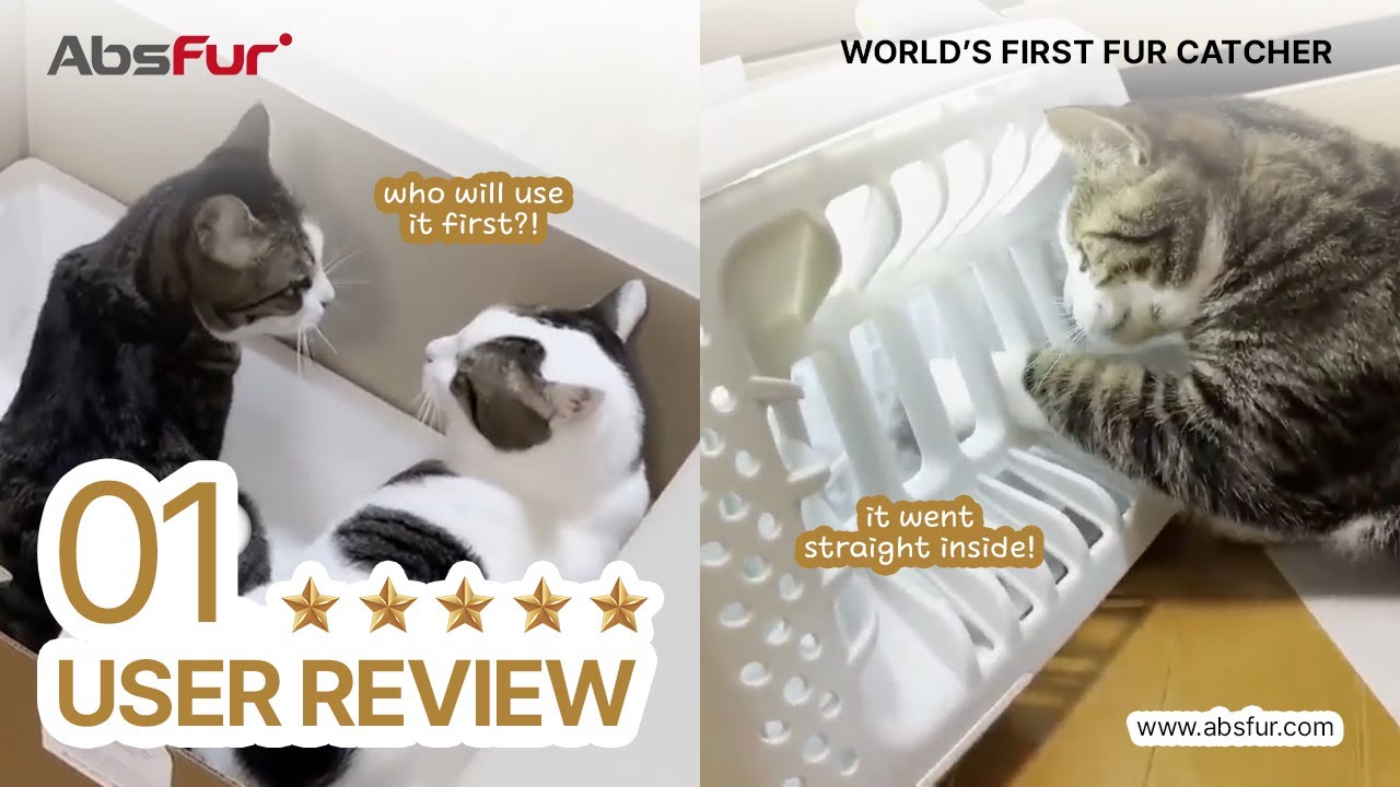 [ 01 User Review ] AbsFur | The World's First Fur Catcher - YouTube
