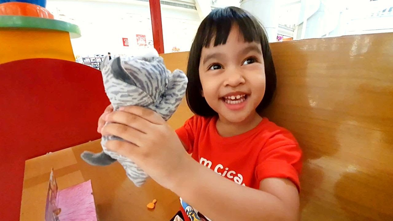 Review Kucing Mini - YouTube