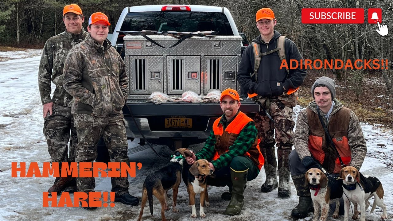 THREE HARE DOWN!! Rabbit Hunting with Beagles - YouTube