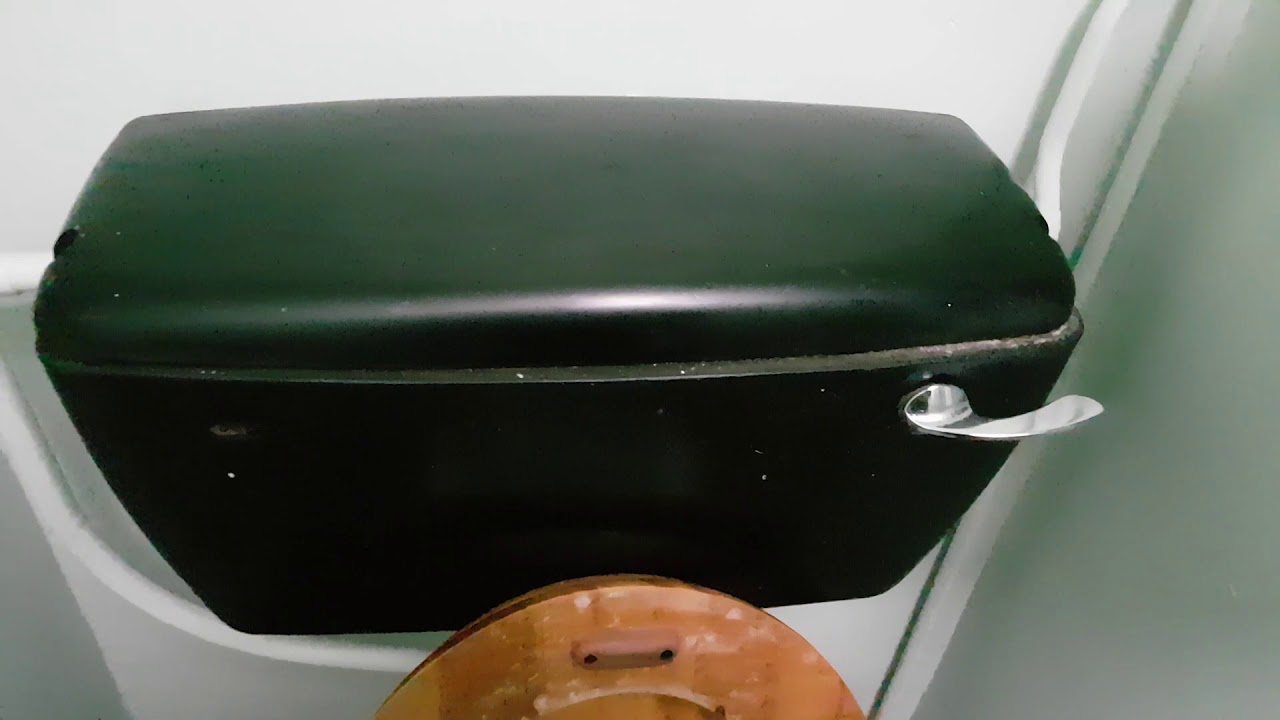 Shires Supaline/LL Shires Lynx, PH, Bedford (1) - YouTube