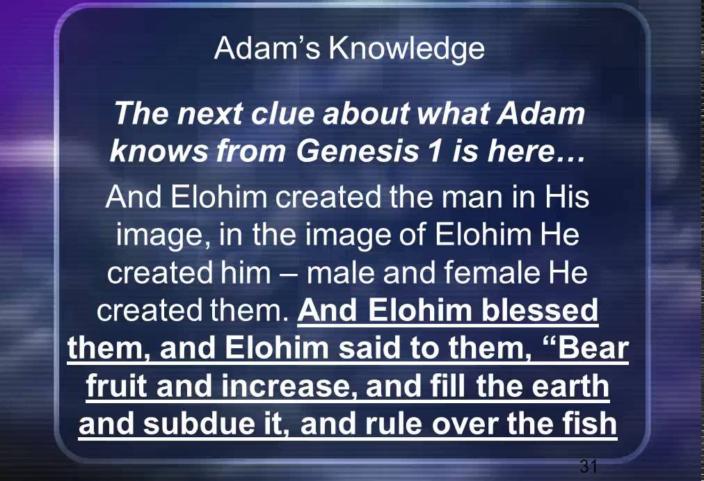 Adam's Calendar Revelation - YouTube