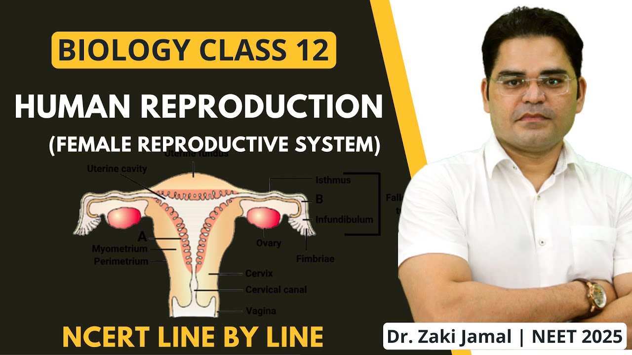 Human Reproduction I Female Reproductive System | NEET 2025 | Class ...