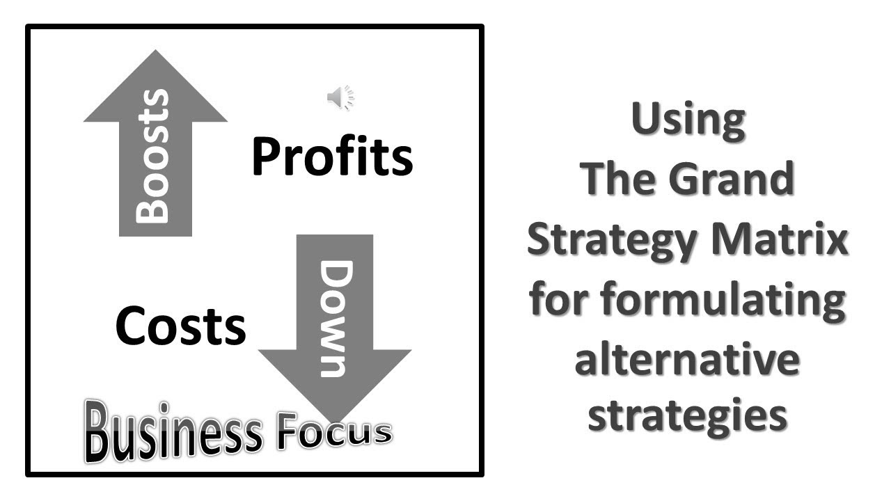 Using The Grand Strategy Matrix for formulating alternative strategies ...