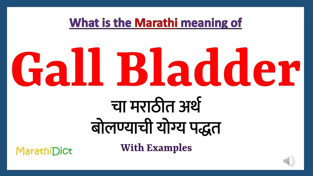Gall Bladder Meaning In Marathi Gall Bladder Gall Gall Bladder Meaning In Marathi Gall Bladder Gall