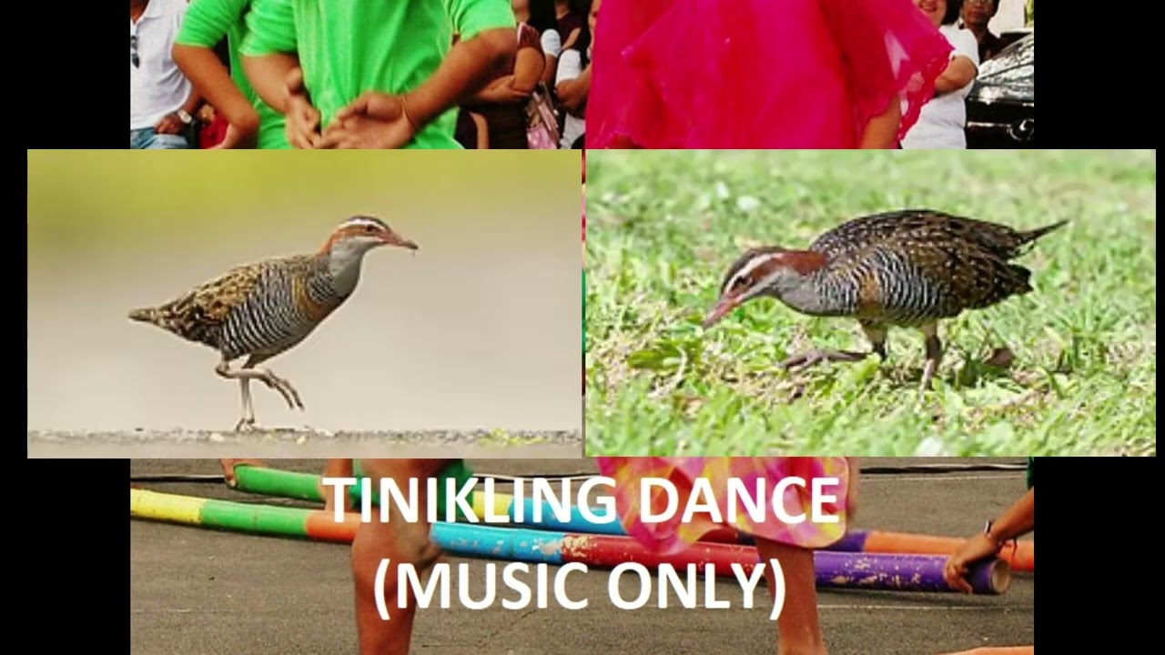 Tinikling Bird