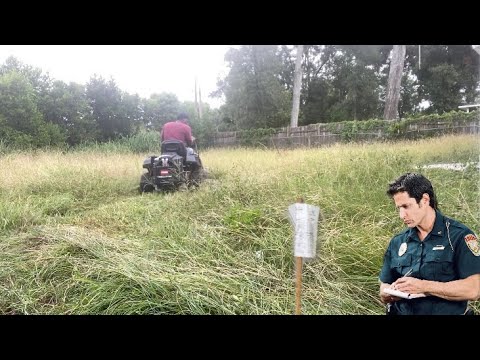 Part Two - CODE ENFORCEMENT gave another VIOLATION right before I ...