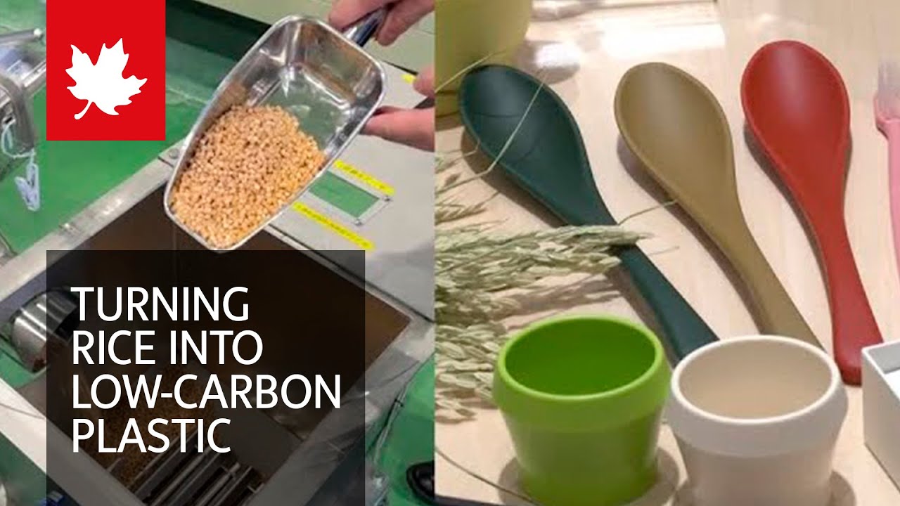 Could unsellable rice be turned into an economic and low-carbon form of ...