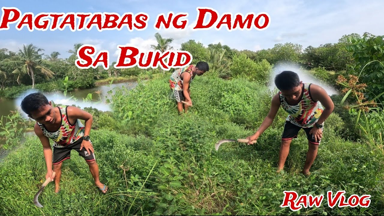PAGTATABAS NG DAMO SA BUKID @kanutoTV @JaperSniperOfficial - YouTube