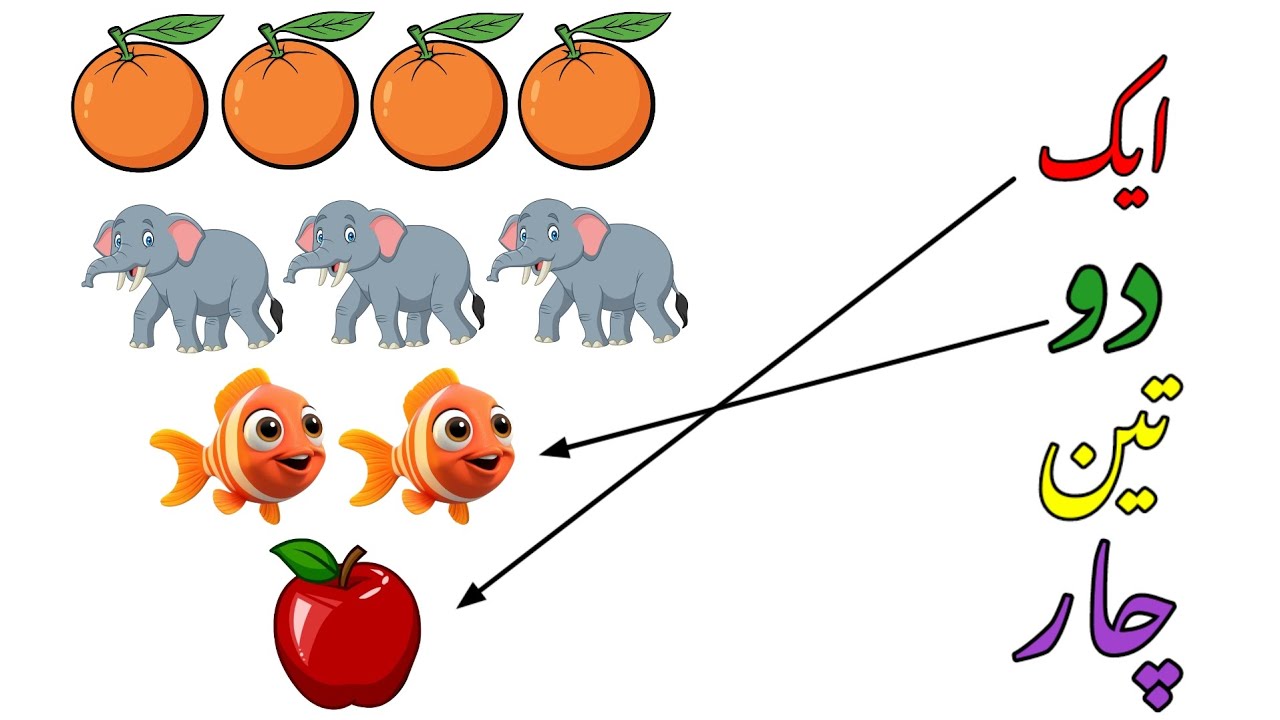 Urdu ginti match 123 numbers with pictures( class lkg ukg math ...