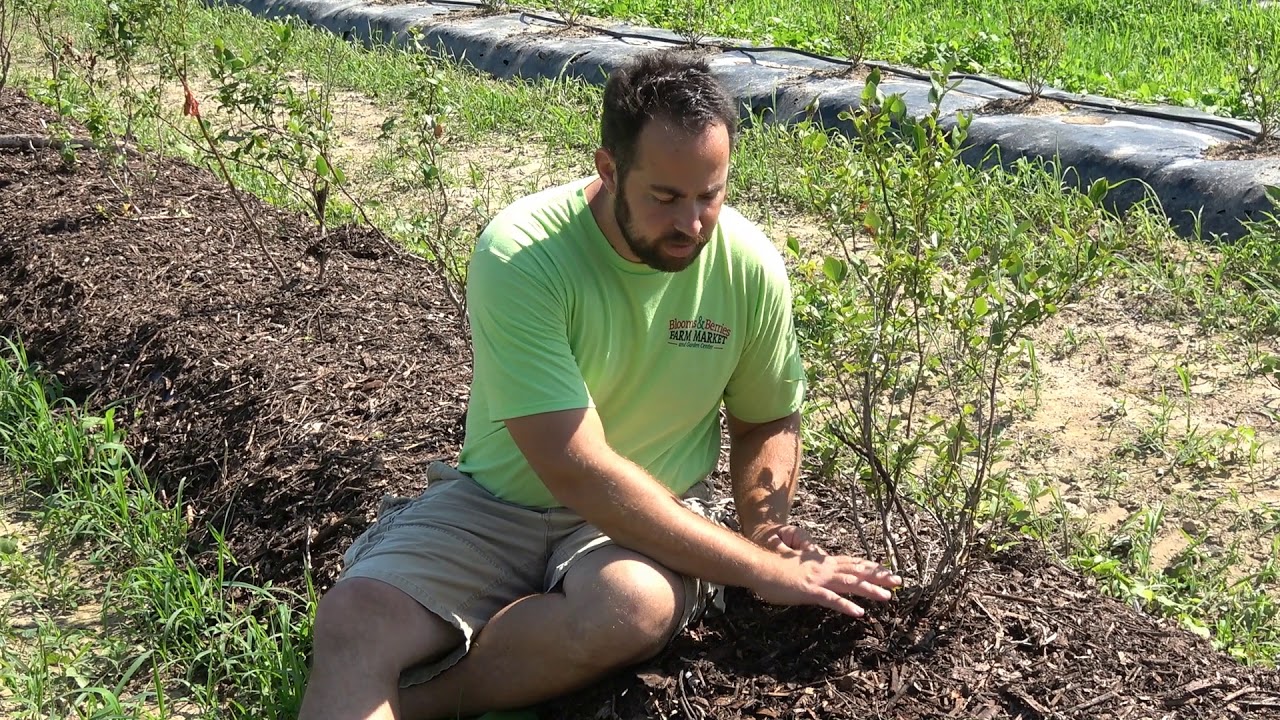 Farmer Friday July 3, 2020 - YouTube