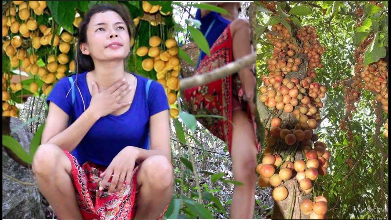 Survival skills: finding wild fruit Nature for food .fruits Nature ...