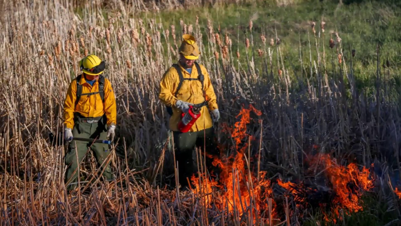 ILHOA South Common Pond Burn - YouTube