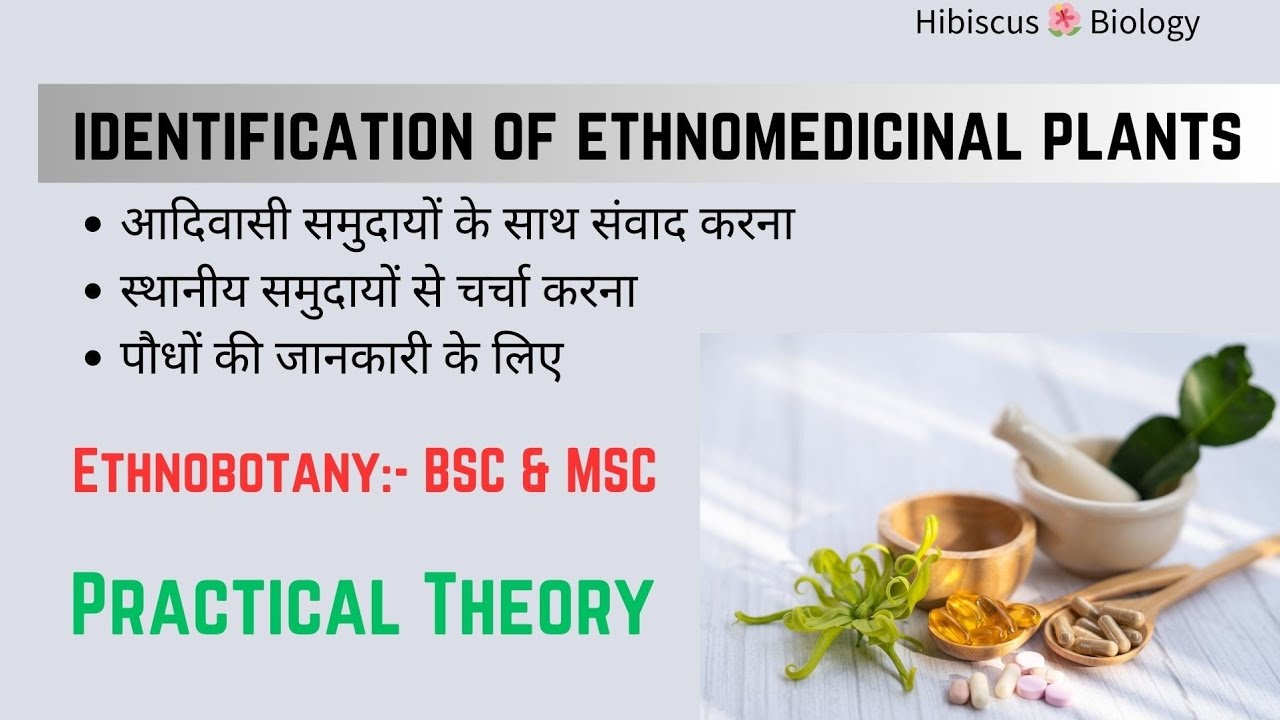 identification of ethnomedicinal plants | Ethnobotany BSC & MSC | B.L ...