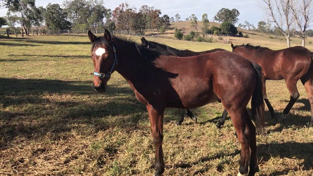 Excelebration x Mighty Matilda. June 26 - YouTube