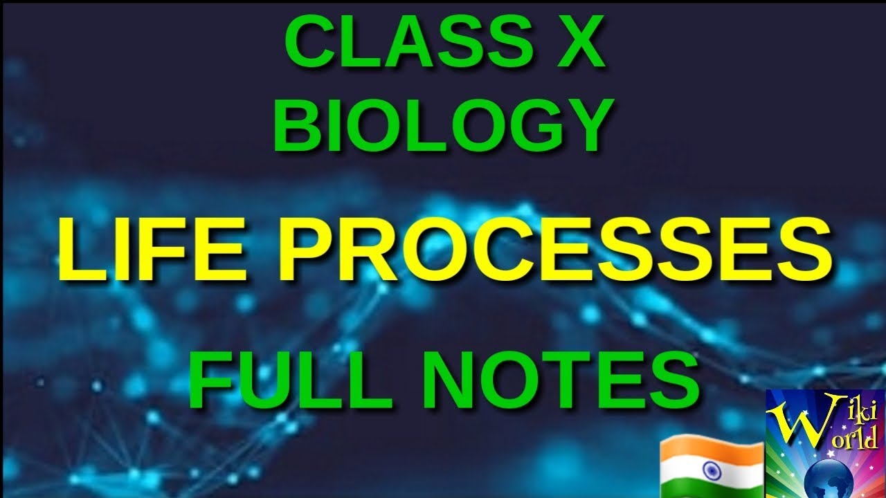 Class X BIOLOGY- Life processes - Full notes - YouTube