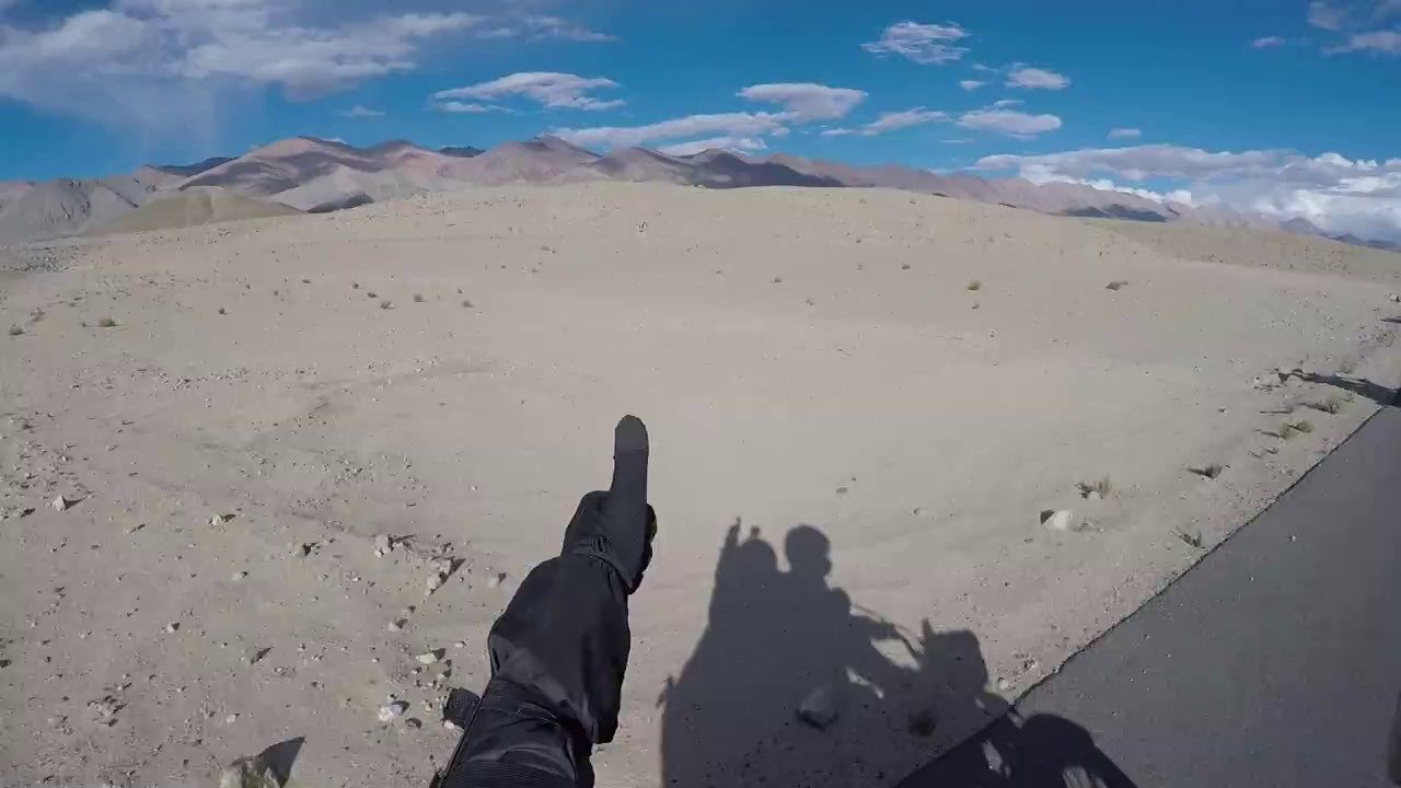 Wild horses on way to Hanley- Leh Ladakh - YouTube