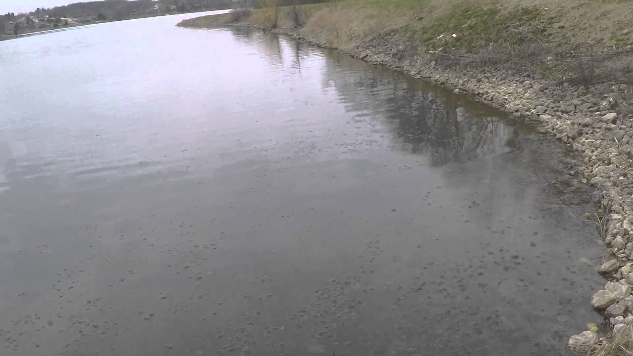 Big bass 2016, shallow water spring fishing - YouTube