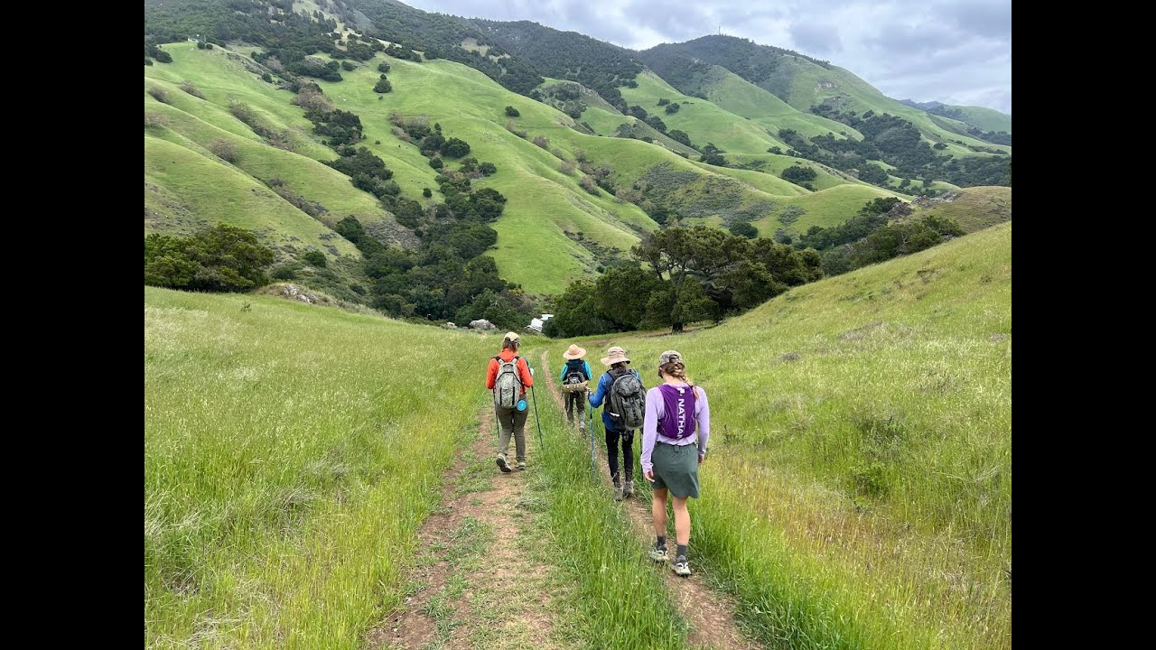 Miossi Open Space & Stenner Springs Natural Reserve Hike & Explore ...
