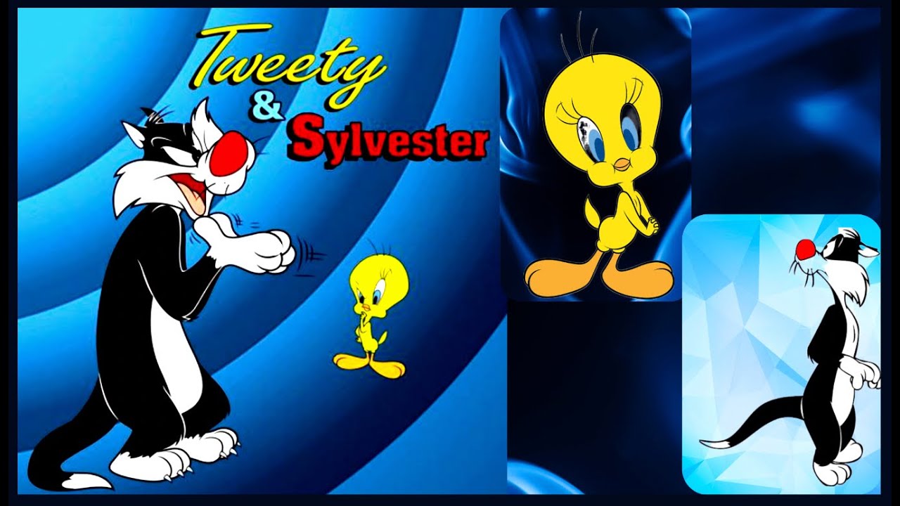 Tweety and Sylvester Adventures: The Classic Cartoon Duo Comes Alive ...