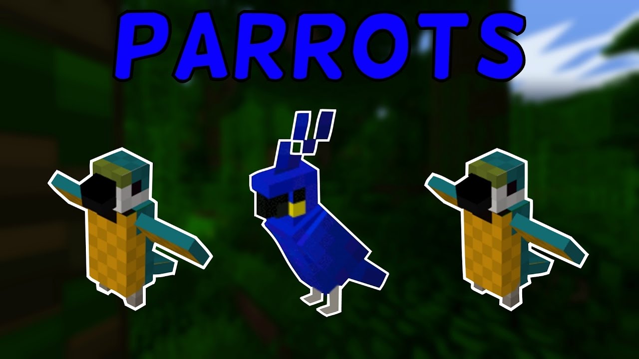 How To Tame Parrots In Minecraft 1.12 (Snapshot 17w13a) - YouTube