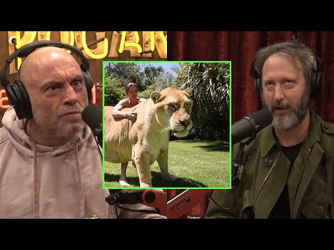 The Crazy World Of Hybrid Animals | Joe Rogan & Tom Green - YouTube