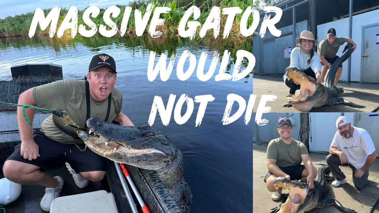 Monster Gator Takedown: Epic Alligator Hunt in the Florida Swamps - YouTube