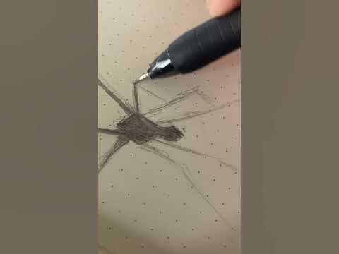 How to draw spiders!! ️ ️ Part 1 - YouTube