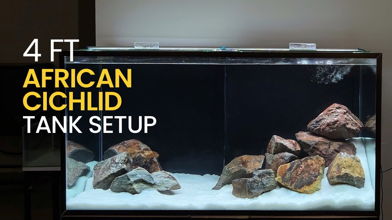 4 Feet African Cichlid Tank Setup - YouTube