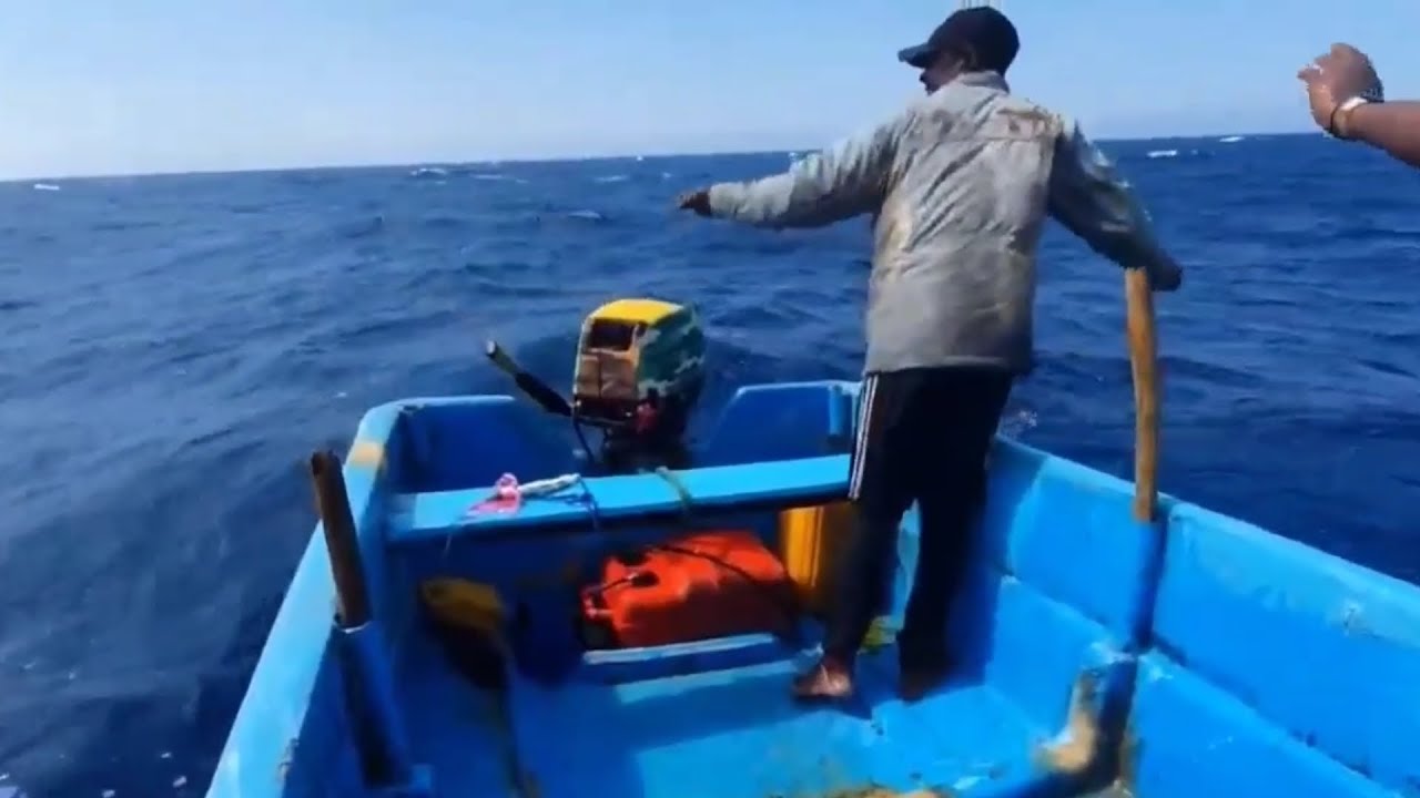 fishing catching skills in Indian Ocean sea - YouTube