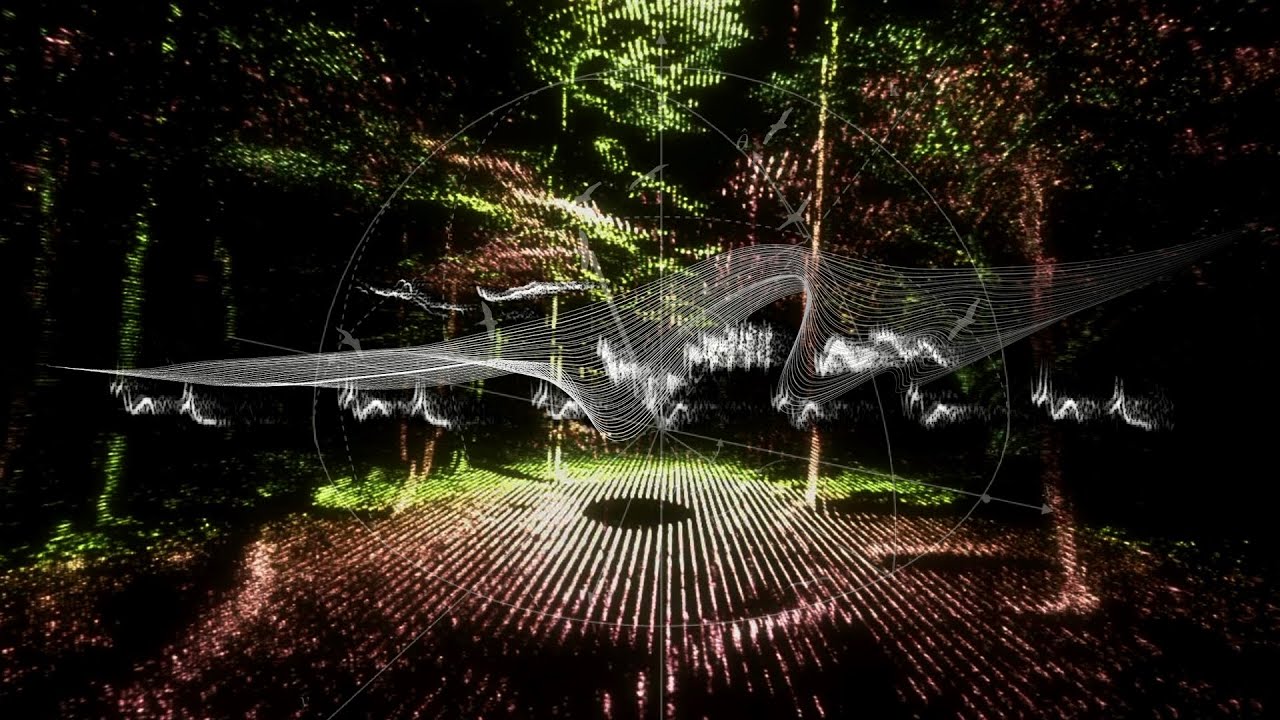 Hypernature - Ziyue Wang/Alicia Leonie Waibel - YouTube