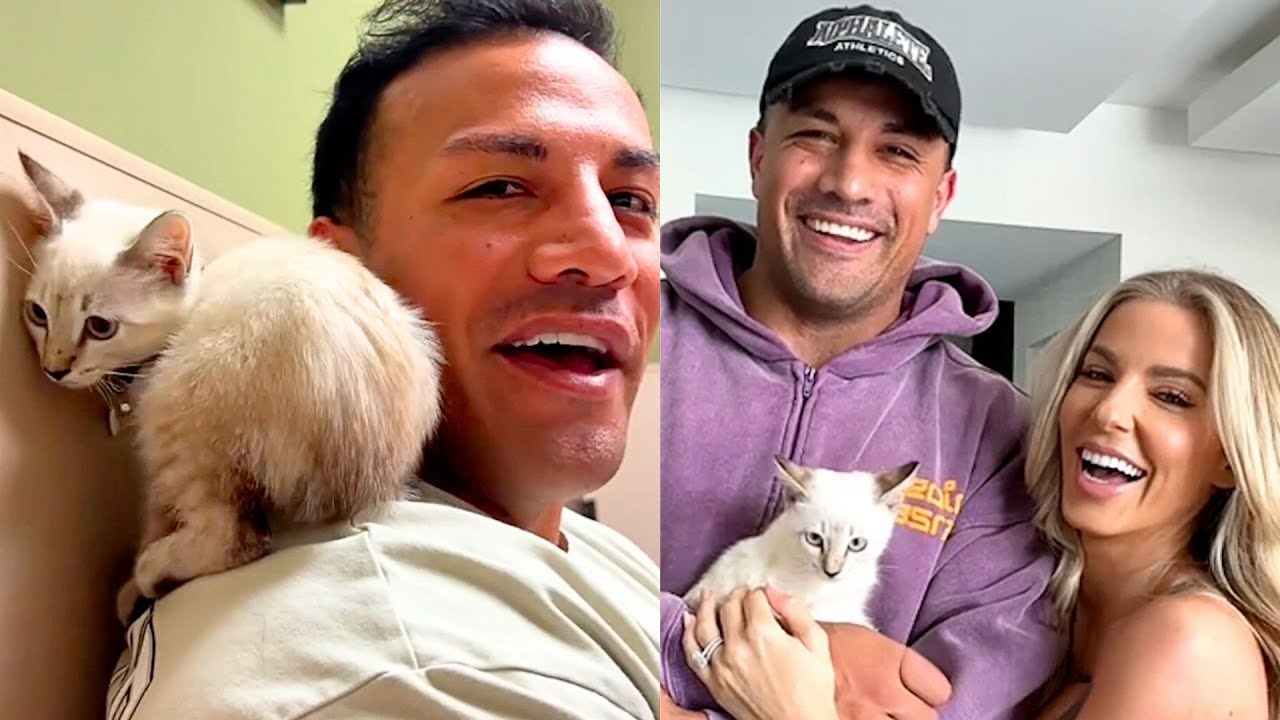 They Saved A Scared Kitten During A Hurricane 🥹💕 - YouTube