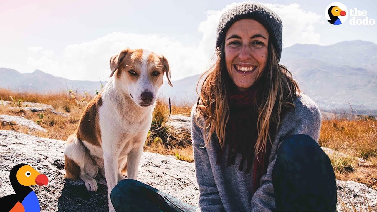 Traveling Woman Rescues Dog That Changes Her Life Forever | The Dodo ...