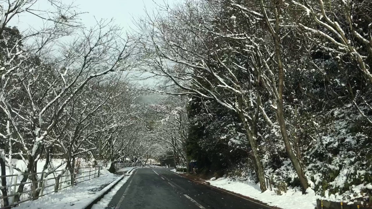 First Japan Snowfall of 2017 - YouTube