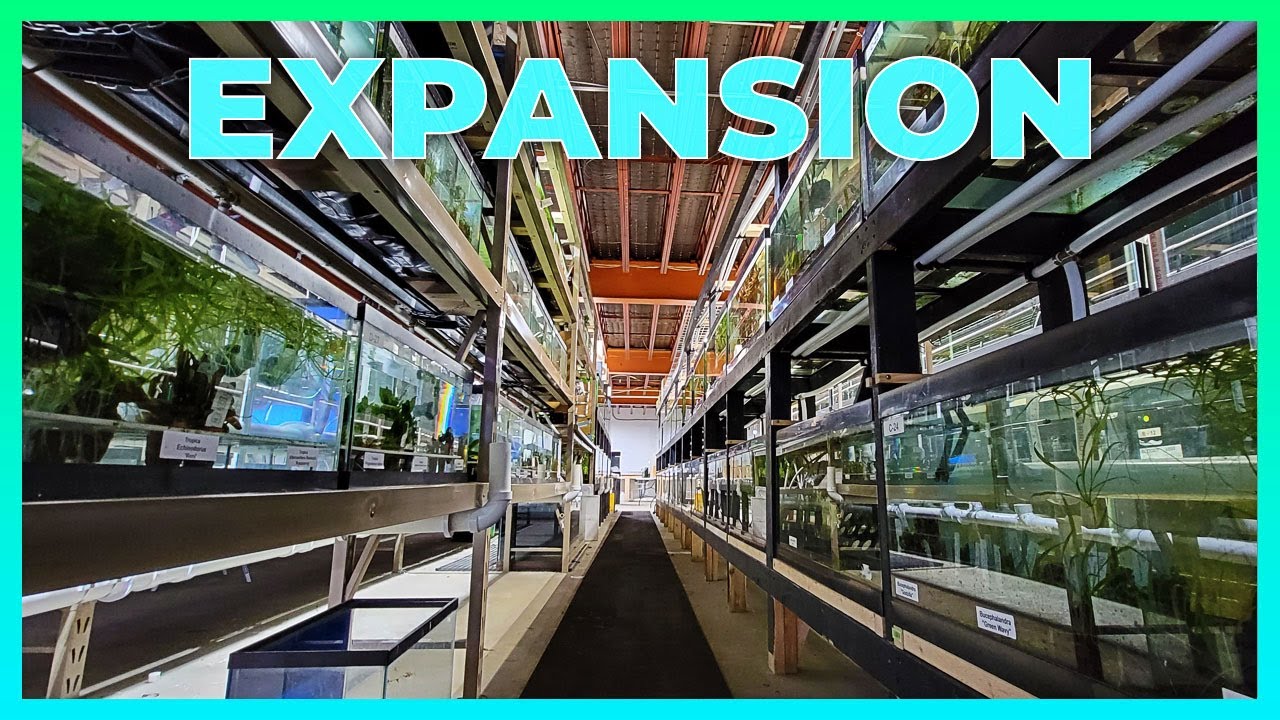 H2O Plants Expansion - Plant Rack Tour 2022 - YouTube
