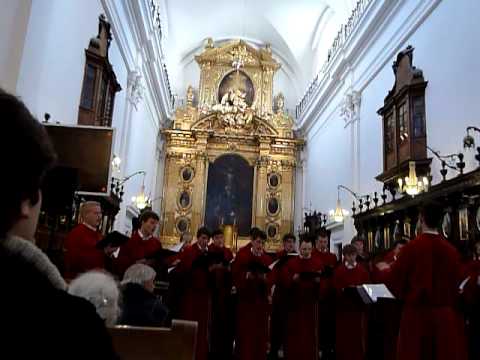 Vexilla Regis - Oreste Ravanello - YouTube