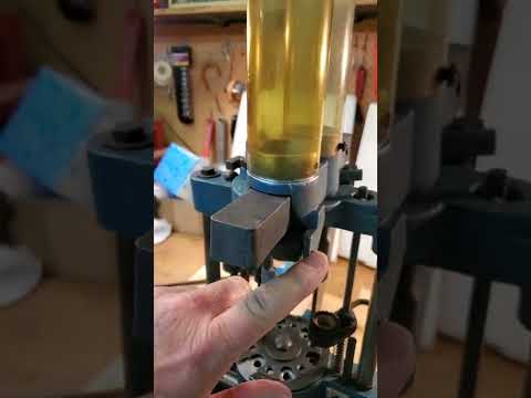 Polar Bair 600 - YouTube
