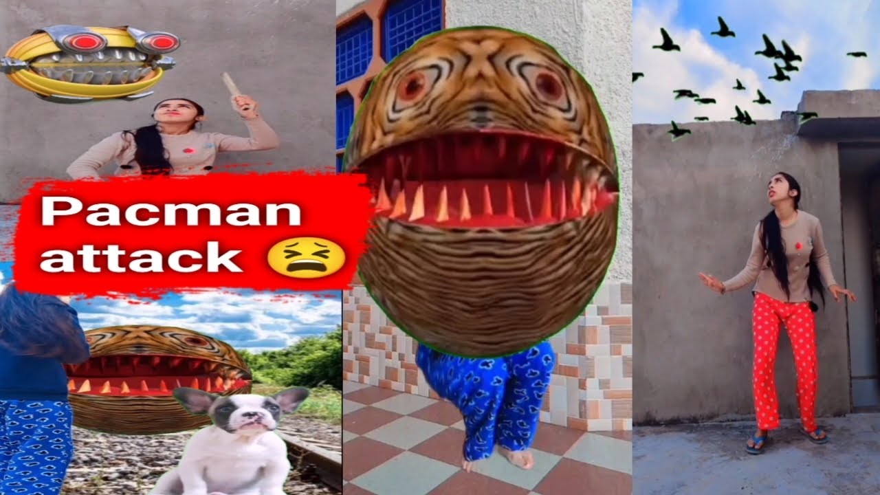 Pacman attack😫😫//#pacman #funny #attack #cartoon @jidikudivlog - YouTube