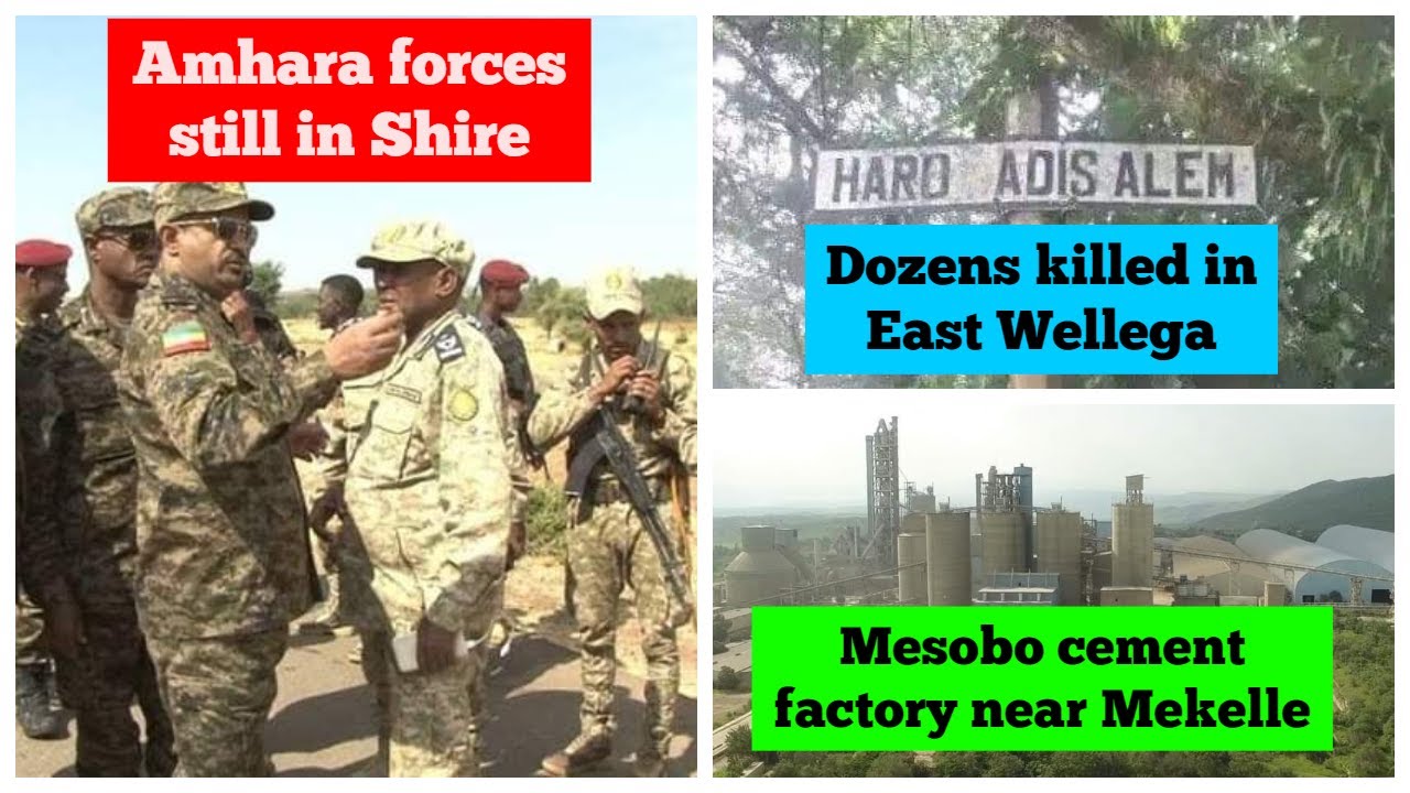 Amhara forces still in Shire | Dozens killed in East Wellega | Mesebo ...
