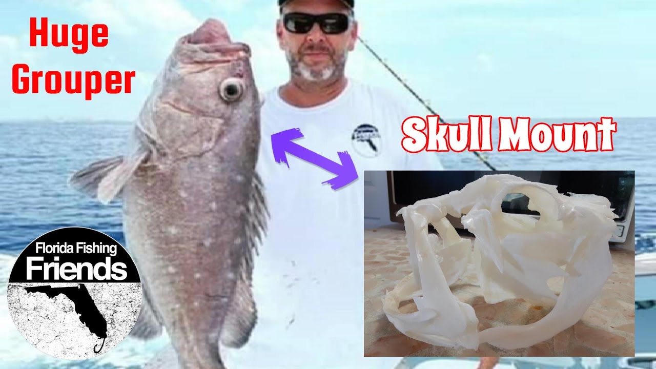 $100 Deep Drop Rig lost and found! 1 in a Million! (SNOWEY GROUPER ...